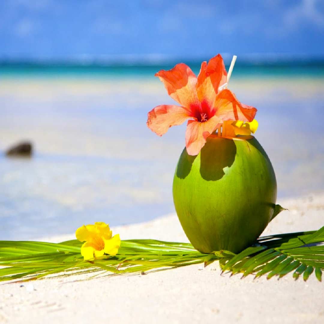 Tours - Page 2 of 2 - Avoca Group Tours