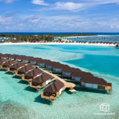 Tours - Avoca Group Tours