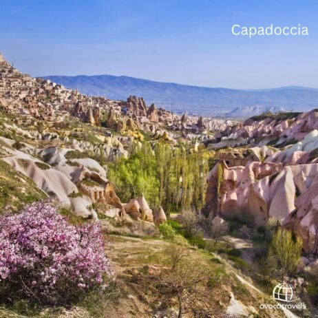 Tours - Avoca Group Tours