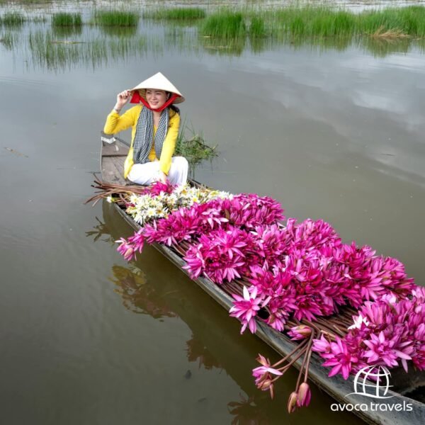 Tours - Avoca Group Tours