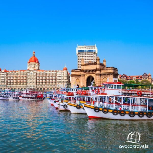 Travel Packages Durban - Tours all Around The World