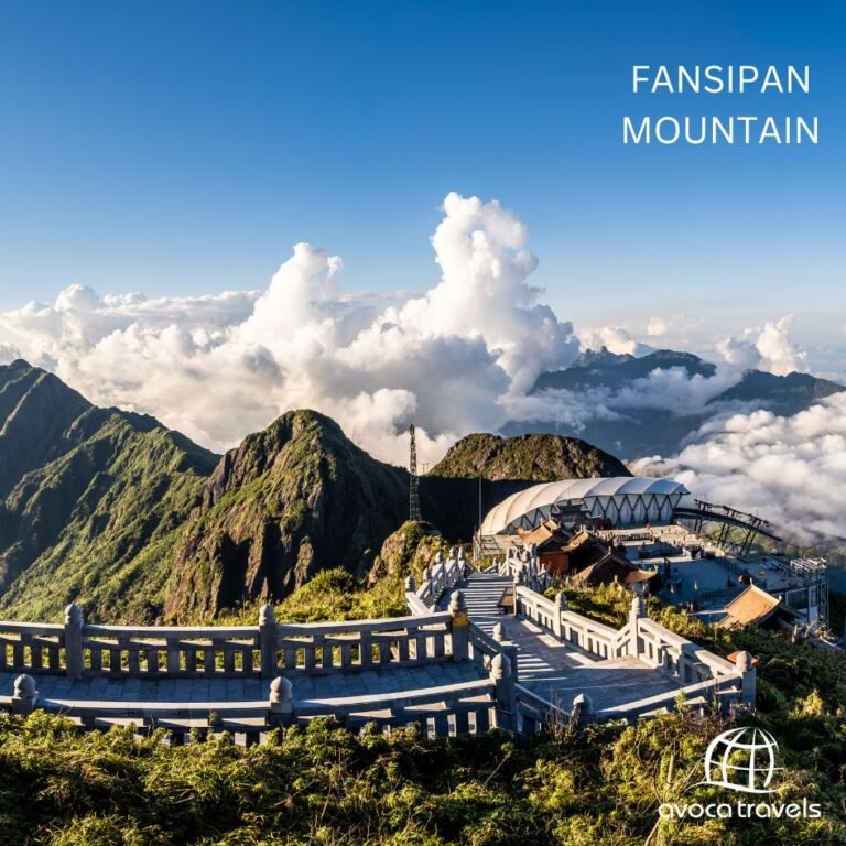 Tours - Page 2 of 7 - Avoca Group Tours