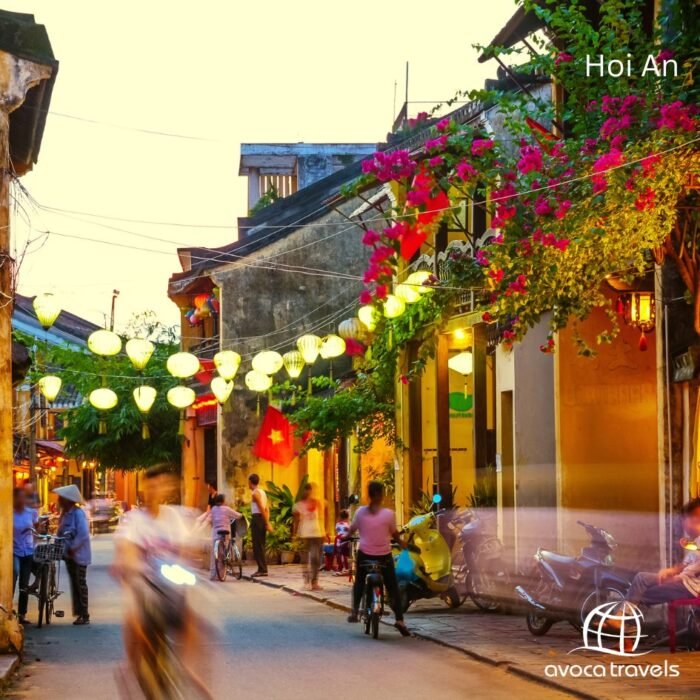 Tours - Avoca Group Tours