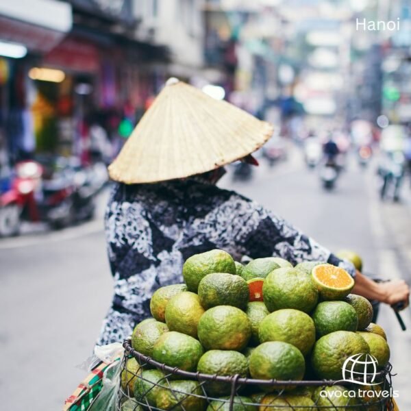 Tours - Avoca Group Tours