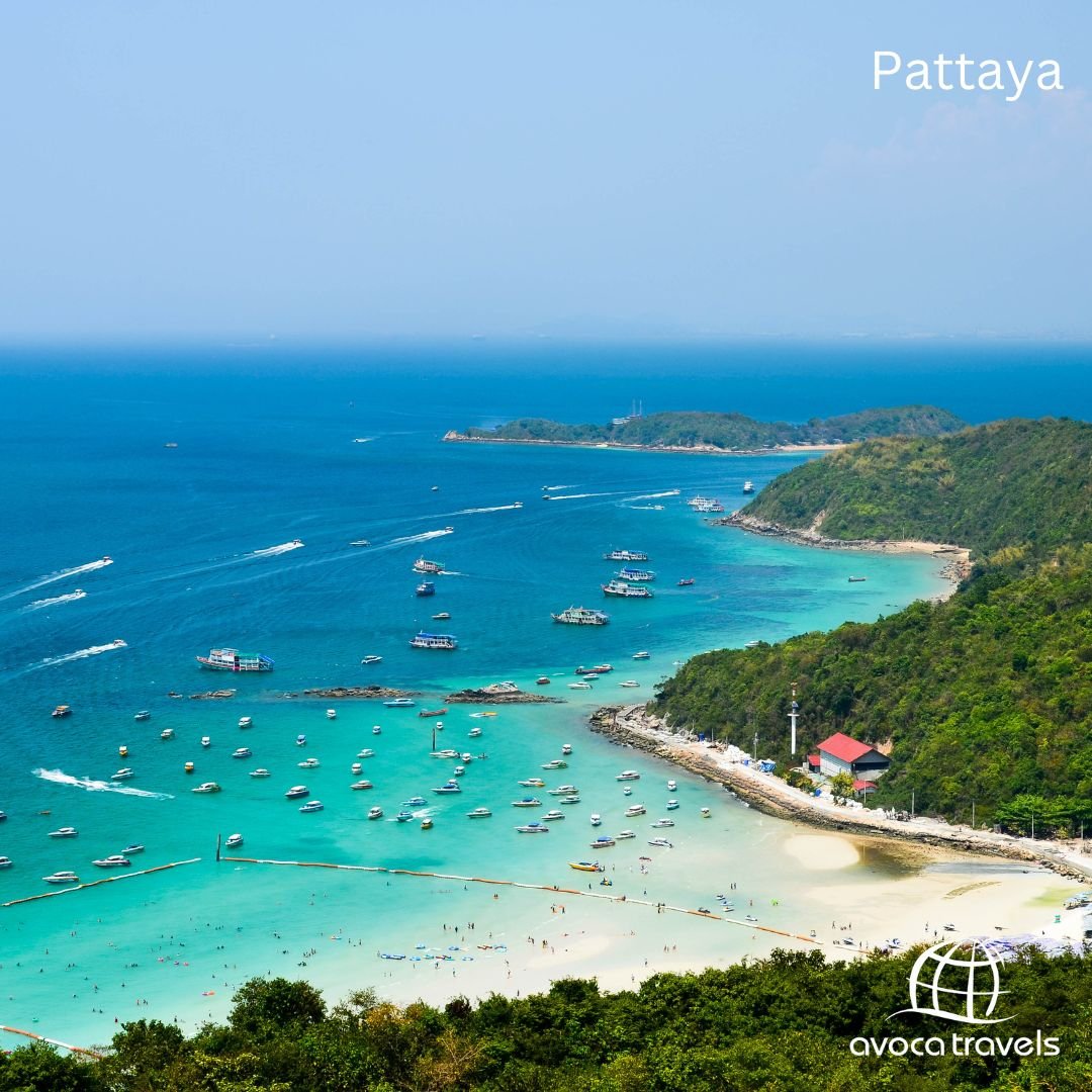 Feb 2025 Archives - Avoca Group Tours