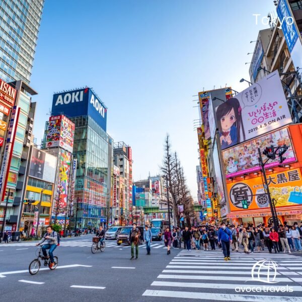 Discover Japan – Osaka & Tokyo Adventure!