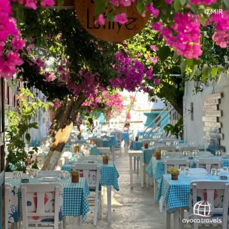 Tours - Avoca Group Tours