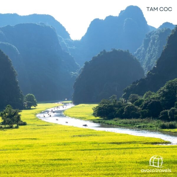 Tours - Avoca Group Tours