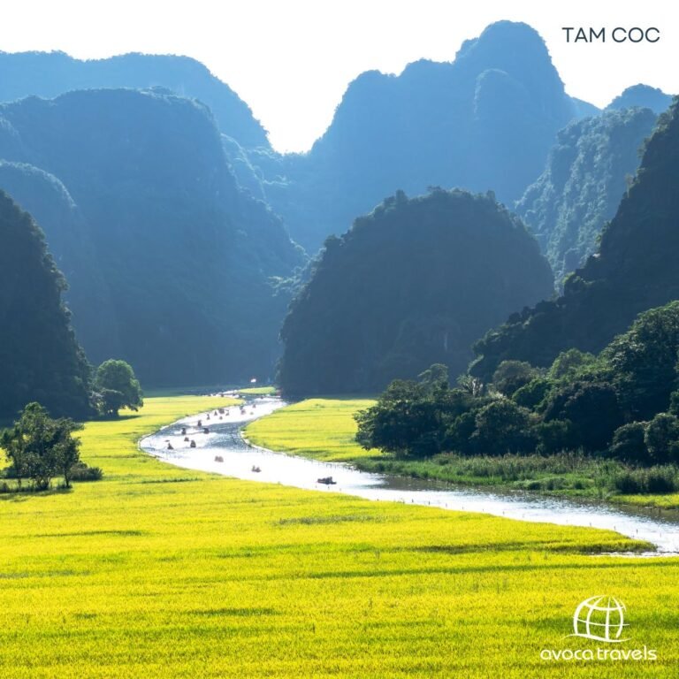 Tours - Avoca Group Tours