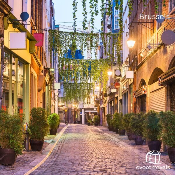 Tours - Avoca Group Tours