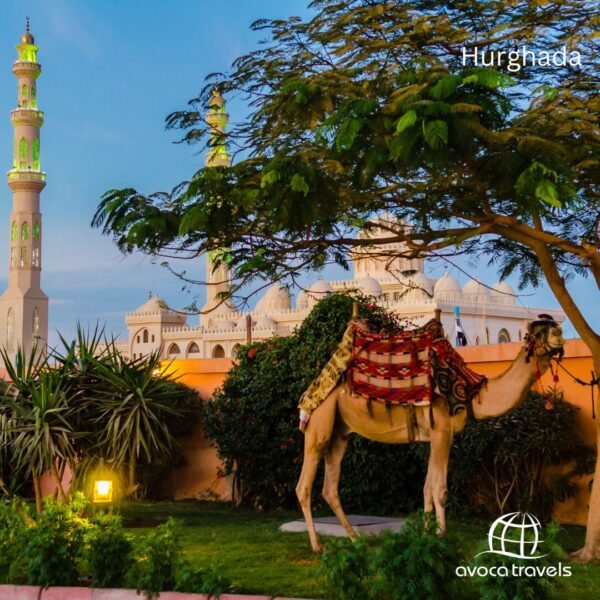 Egypt – Cairo, Luxor & Hurghada Group Tour